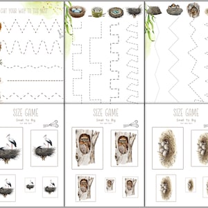 BIRD NESTS Unit Study, Nature Study, Science, Handwriting, Homeschool ...