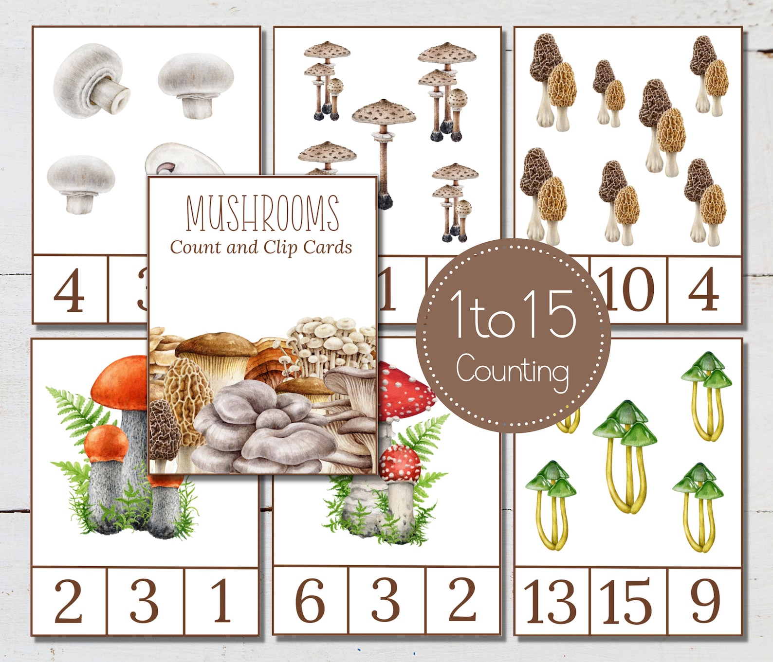 Mushroom Unit Study: Life Cycle, Anatomy, Homeschool Printable (instant ...