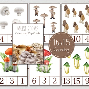 Mushroom Unit Study: Life Cycle, Anatomy, Homeschool Printable (instant ...