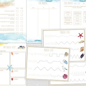 BEACH Unit Study, Anatomy, Nature Study, Science, Handwriting ...