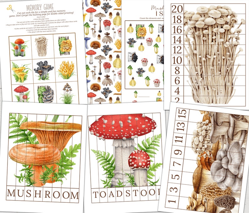 Mushroom Unit Study: Life Cycle, Anatomy, Homeschool Printable (instant ...