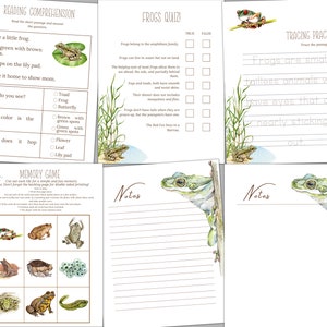 FROG Unit Study, Life Cycle, Anatomy, Nature Study, Science ...