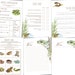 FROG Unit Study, Life Cycle, Anatomy, Nature Study, Science ...