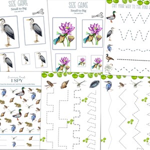 POND Unit Study, Animals and Plants Unit, Life Cycle, Anatomy, Nature ...