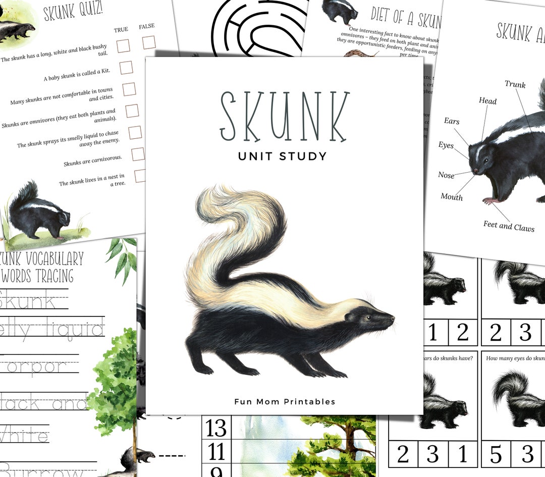SKUNK Unit Study, Life Cycle, Anatomy, Nature Study, Science ...