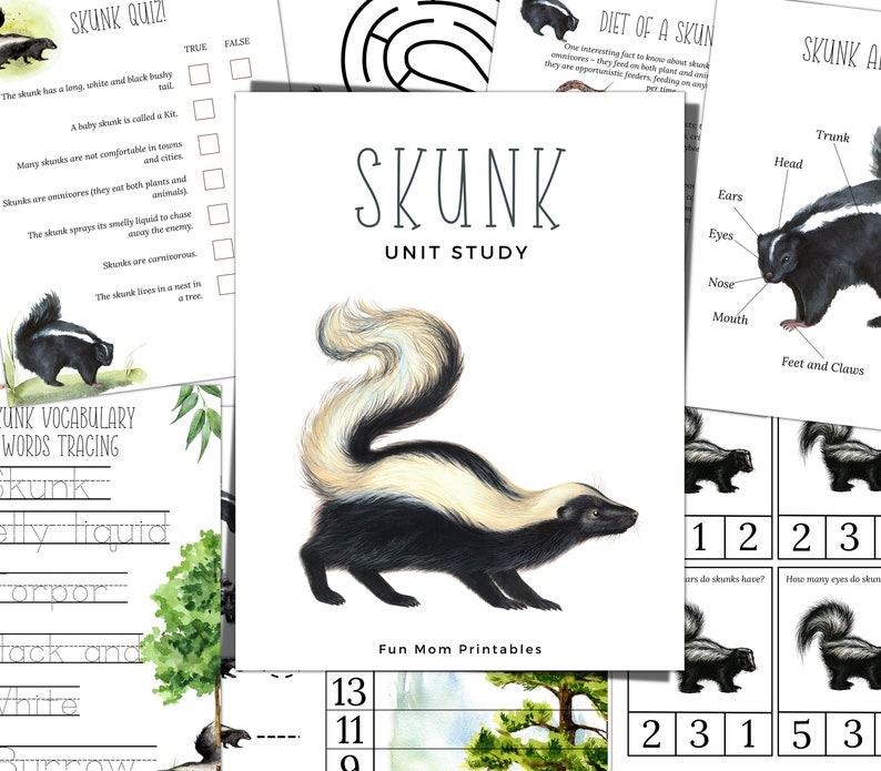 Skunk Unit Study: Life Cycle, Anatomy, Homeschool Printable (instant ...