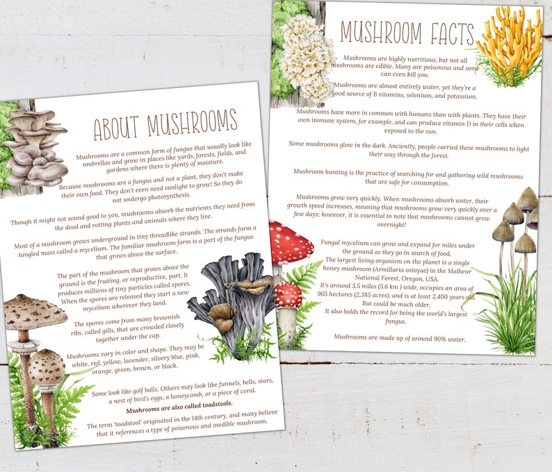 Mushroom Unit Study: Life Cycle, Anatomy, Homeschool Printable (instant ...