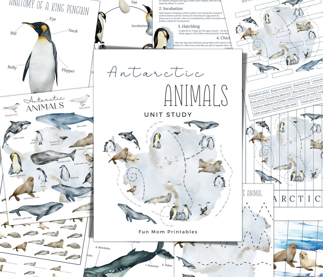 ANTARCTIC ANIMALS Unit Study, Life Cycle, Anatomy, Nature Study ...