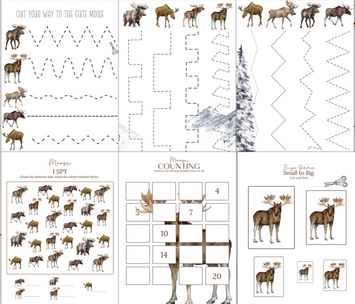 Moose Unit Study: Homeschool Science, Anatomy & Life Cycle (printable ...