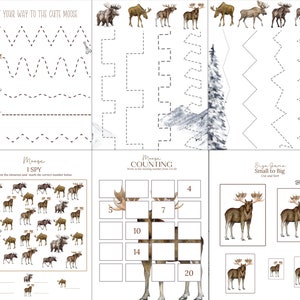 MOOSE Unit Study, Life Cycle, Anatomy, Nature Study, Science ...