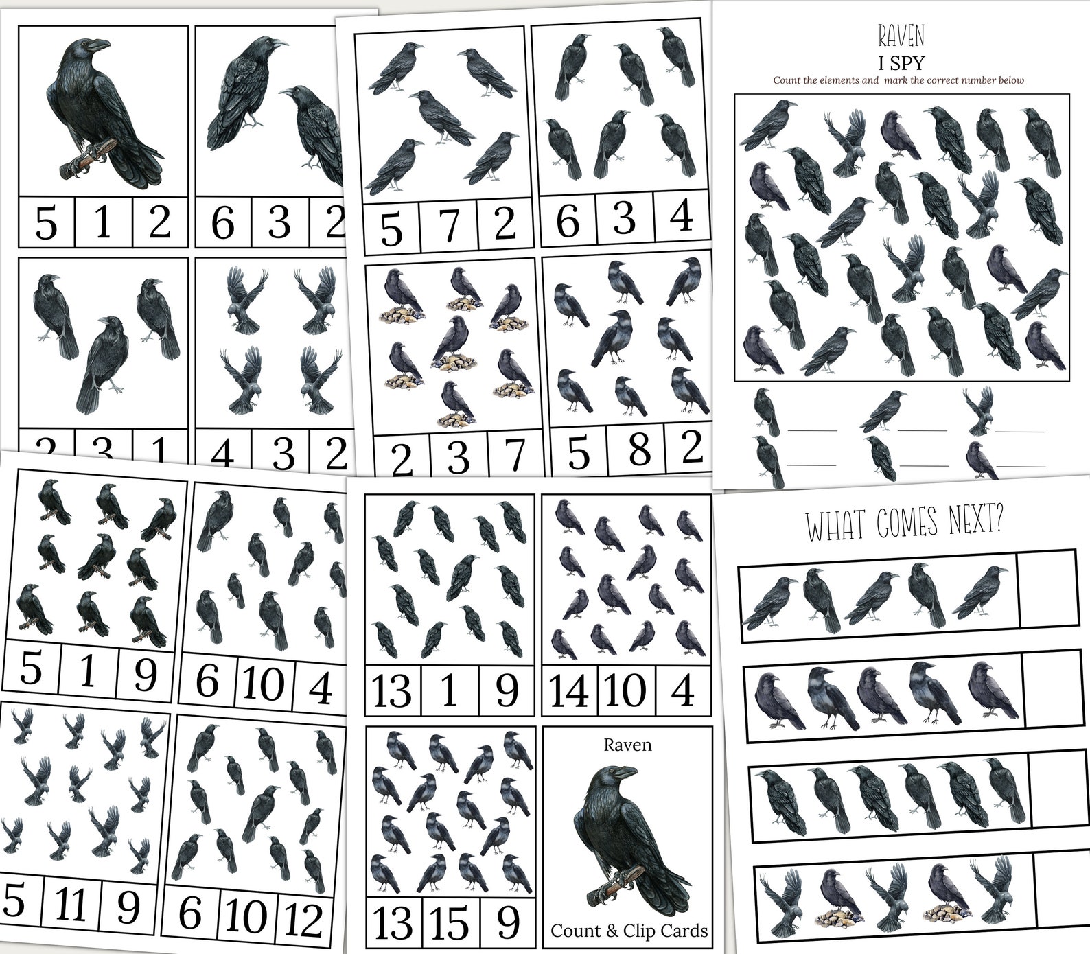 RAVEN Unit Study, Anatomy, Nature Study, Science, Handwriting ...