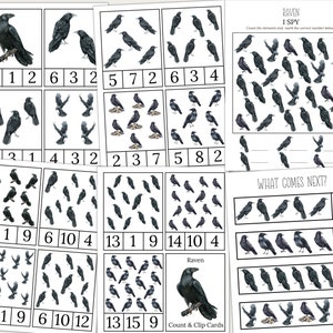 RAVEN Unit Study, Anatomy, Nature Study, Science, Handwriting ...
