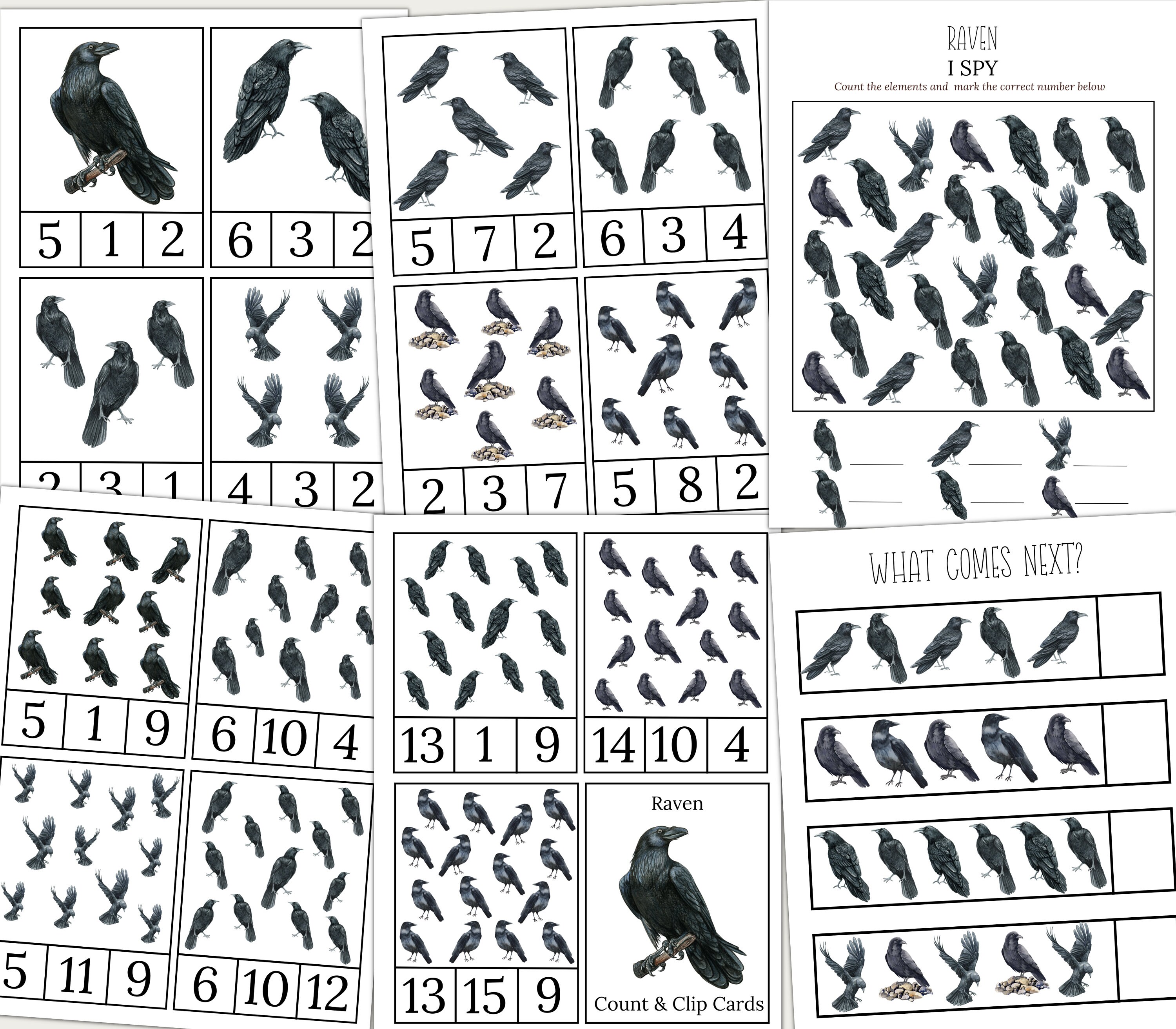 RAVEN Unit Study, Anatomy, Nature Study, Science, Handwriting ...