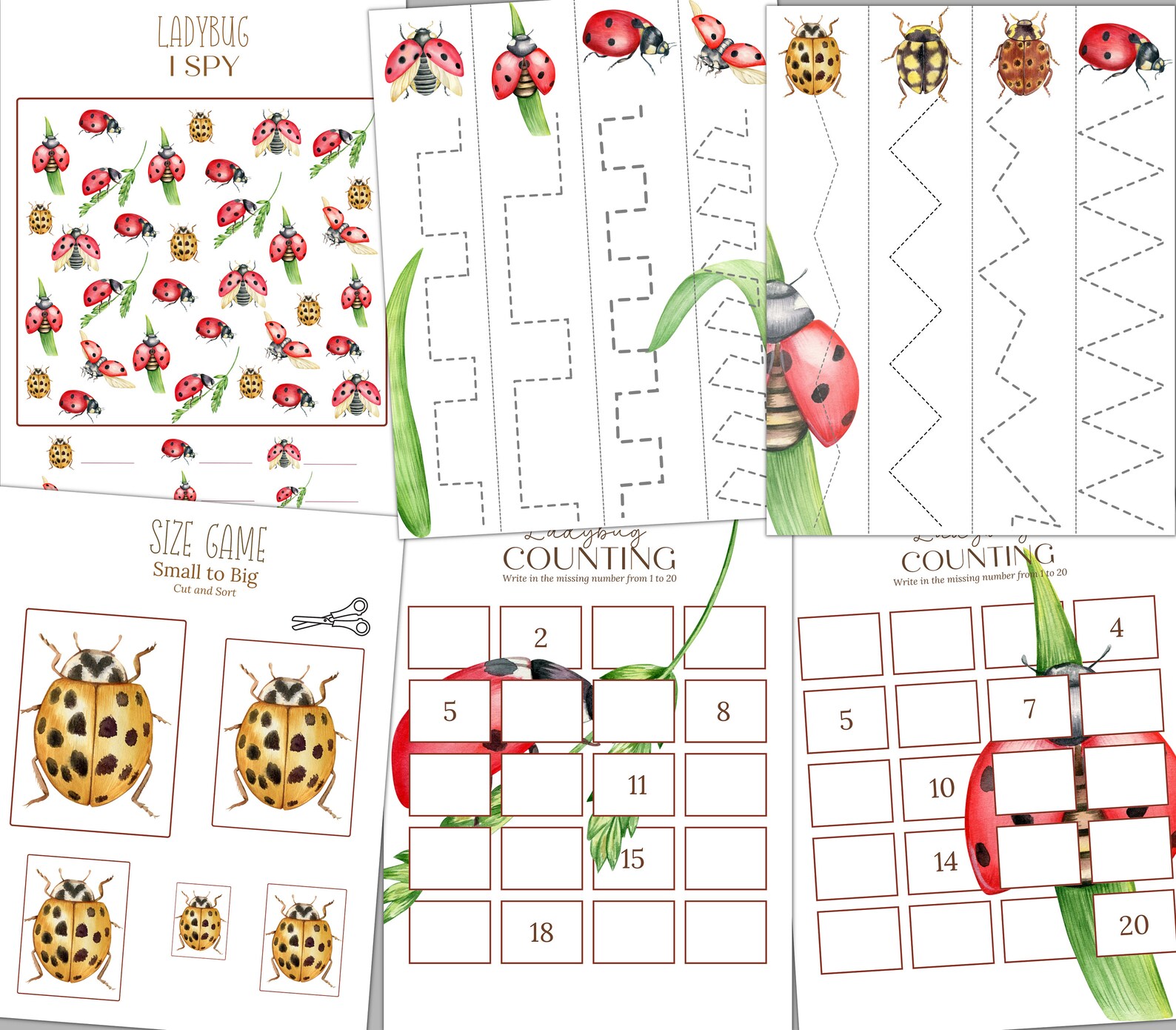 LADYBUGS Unit Study, Nature Study, Ladybug Activities, Science ...