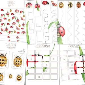 LADYBUGS Unit Study, Nature Study, Ladybug Activities, Science ...