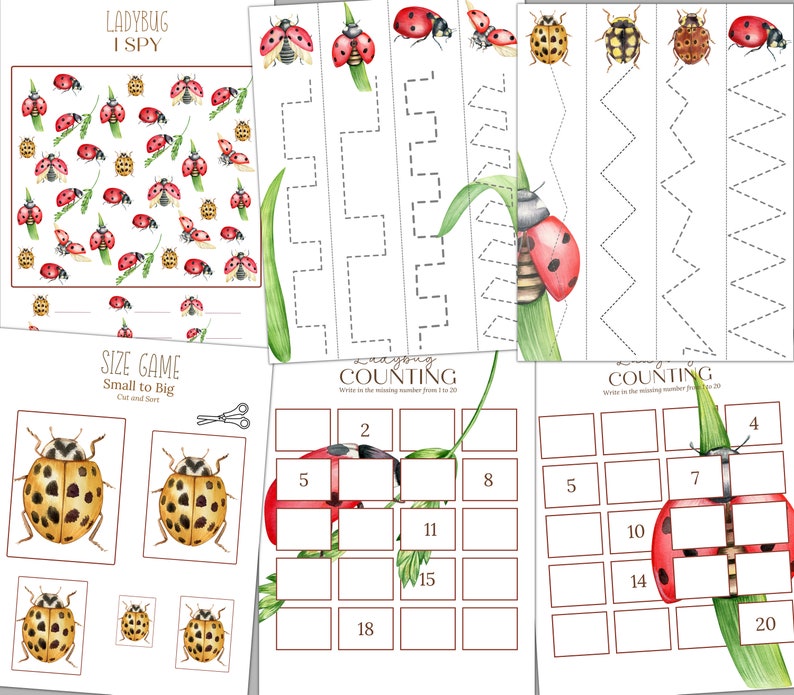 LADYBUGS Unit Study, Nature Study, Ladybug Activities, Science ...