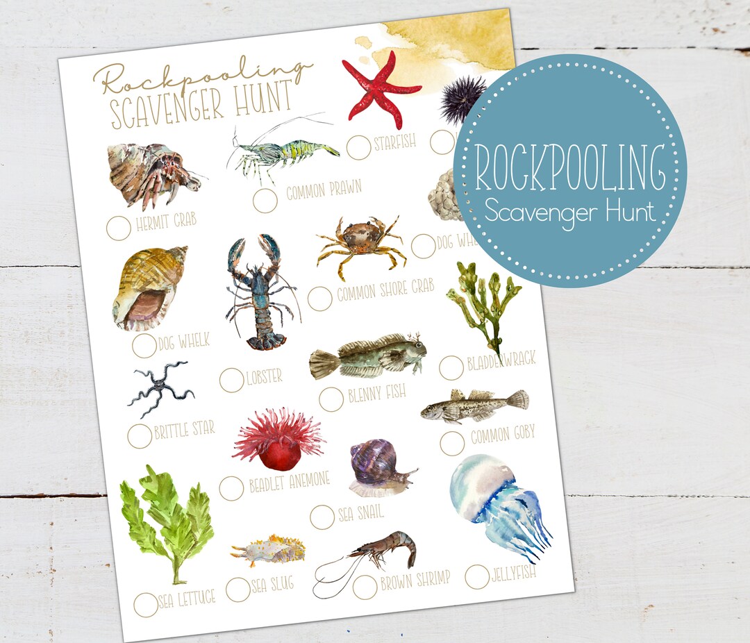 Rockpooling Scavenger Hunt: Nature Study Printable (digital Download ...