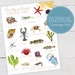 Pond Scavenger Hunt and Pond Walk Observation Activity Pages, Outdoor ...
