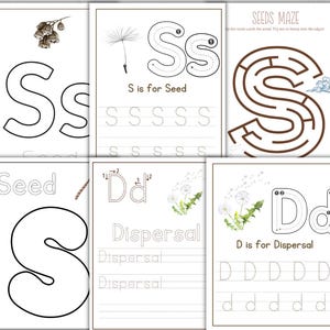 SEED DISPERSAL Unit Study, Anatomy, Nature Study, Science, Handwriting ...