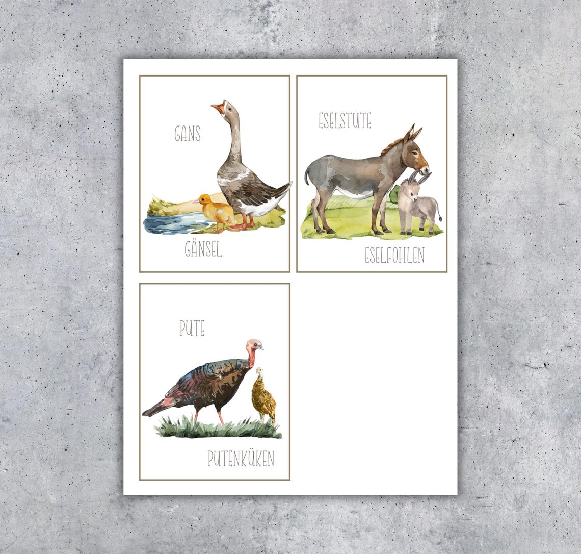 German Farm Animal Flashcards: Moms and Babies Matching Activity ...