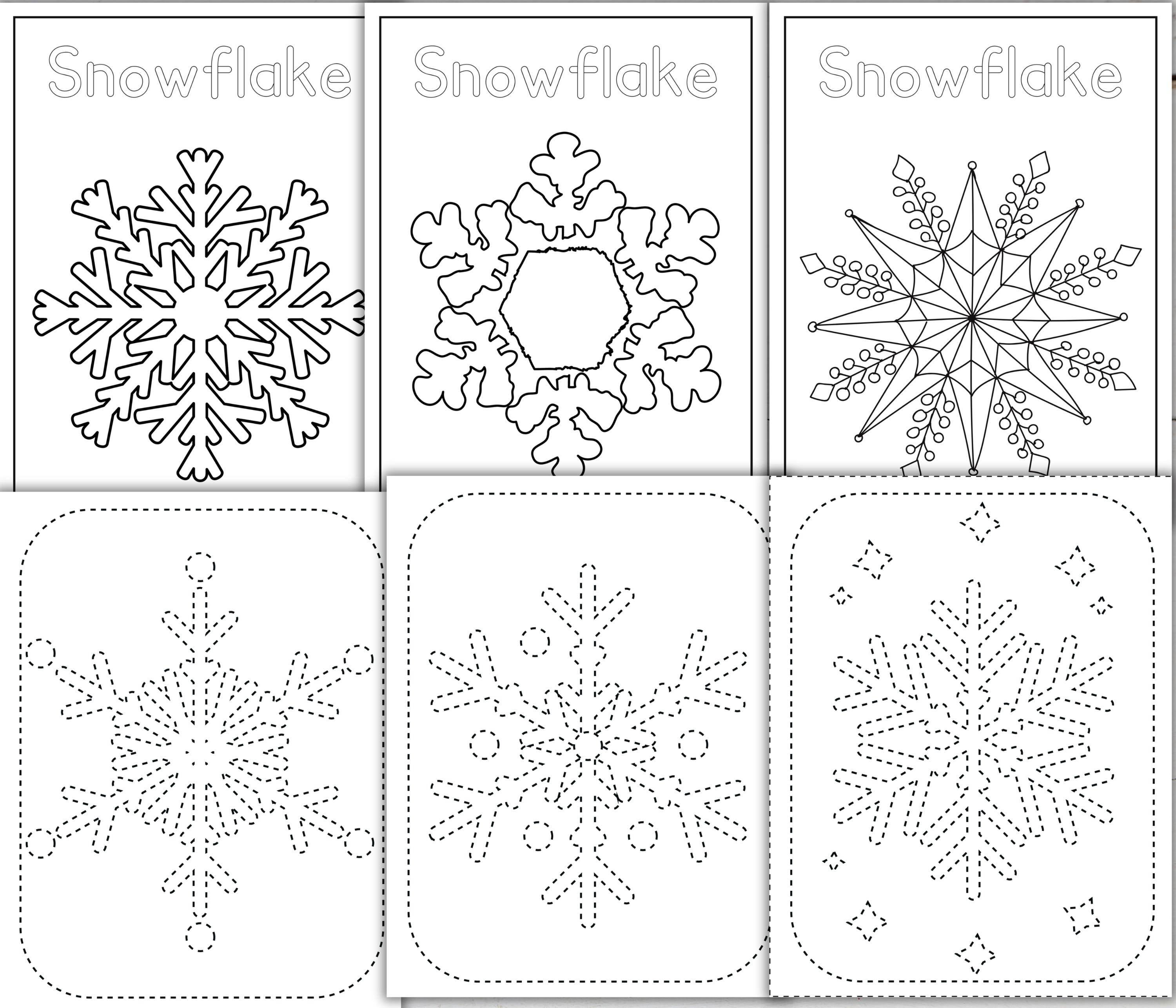 SNOWFLAKE Unit Study, Nature Study, Science, Handwriting, Homeschool ...