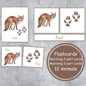WOODLAND ANIMALS Tracks, Flashcards and Matching Activities, Instant ...