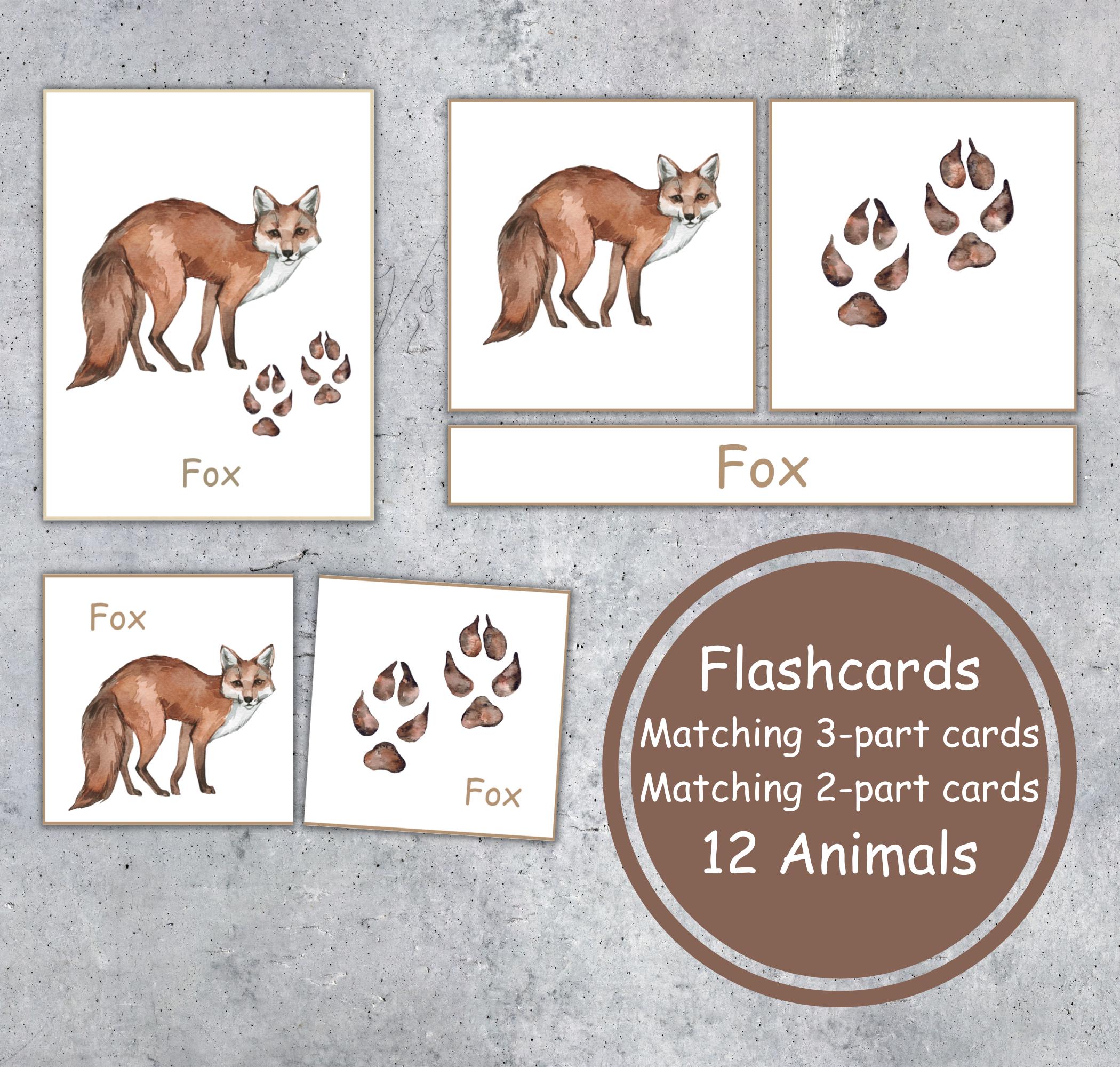 WOODLAND ANIMALS Tracks, Flashcards and Matching Activities, Instant ...