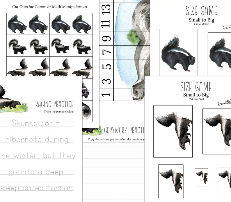 Skunk Unit Study: Life Cycle, Anatomy, Homeschool Printable (instant ...