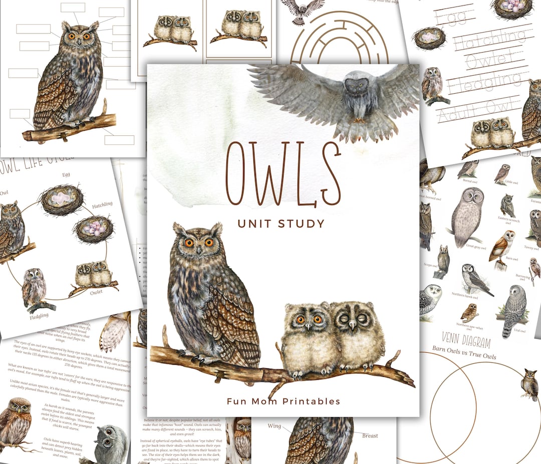 Owls Unit Study: Life Cycle, Anatomy, Homeschool Printable (INSTANT ...
