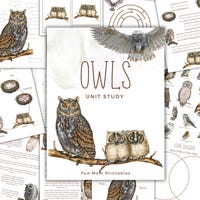 OWL Mini Unit Study, Life Cycle, Anatomy, Nature Study, Science ...