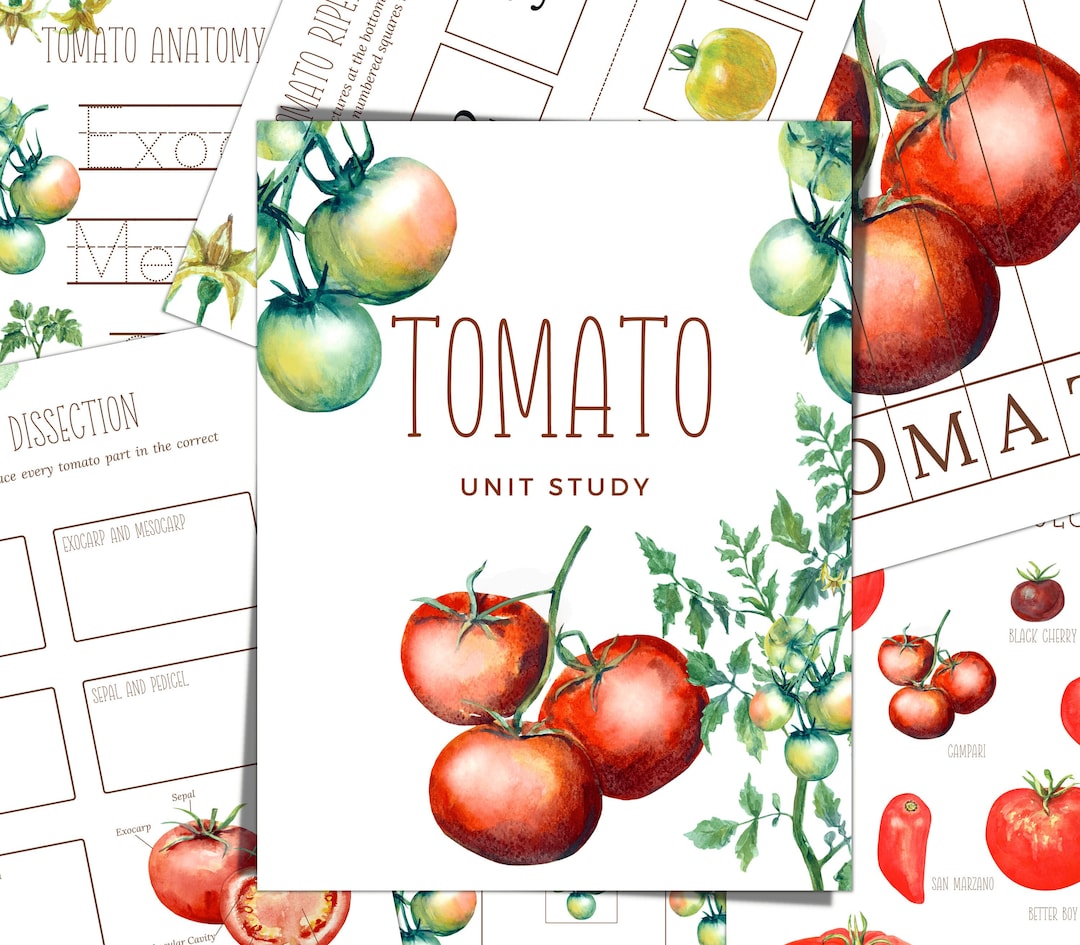 TOMATO Unit Study, Life Cycle, Anatomy, Nature Study, Science ...
