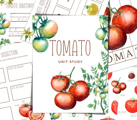 TOMATO Unit Study Life Cycle Anatomy Nature Study Science - Etsy