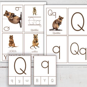 LETTER of the WEEK, Q is for Quokka, Letter Q Activities, Alphabet ...
