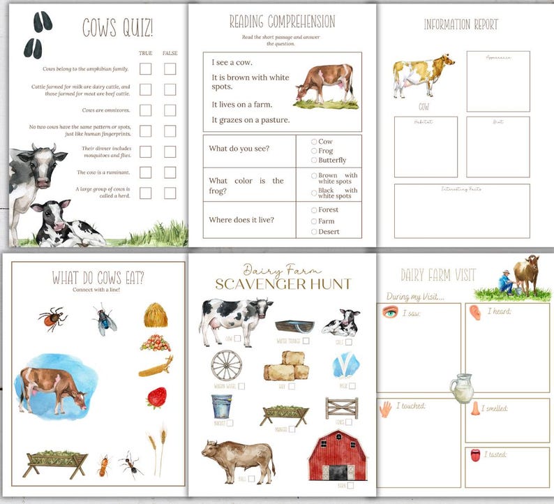 Cows Unit Study: Cattle Life Cycle, Anatomy (homeschool Printable) - Etsy