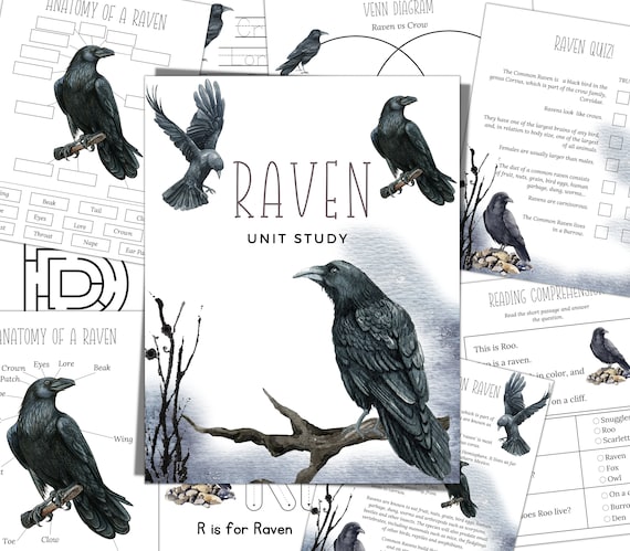 RAVEN Unit Study Anatomy Nature Study Science Handwriting - Etsy
