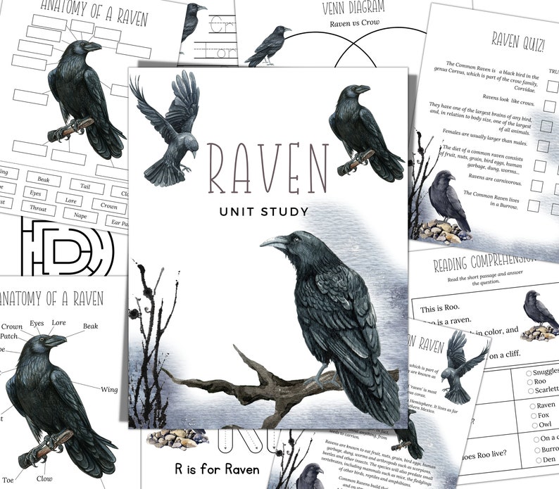 RAVEN Unit Study, Anatomy, Nature Study, Science, Handwriting ...