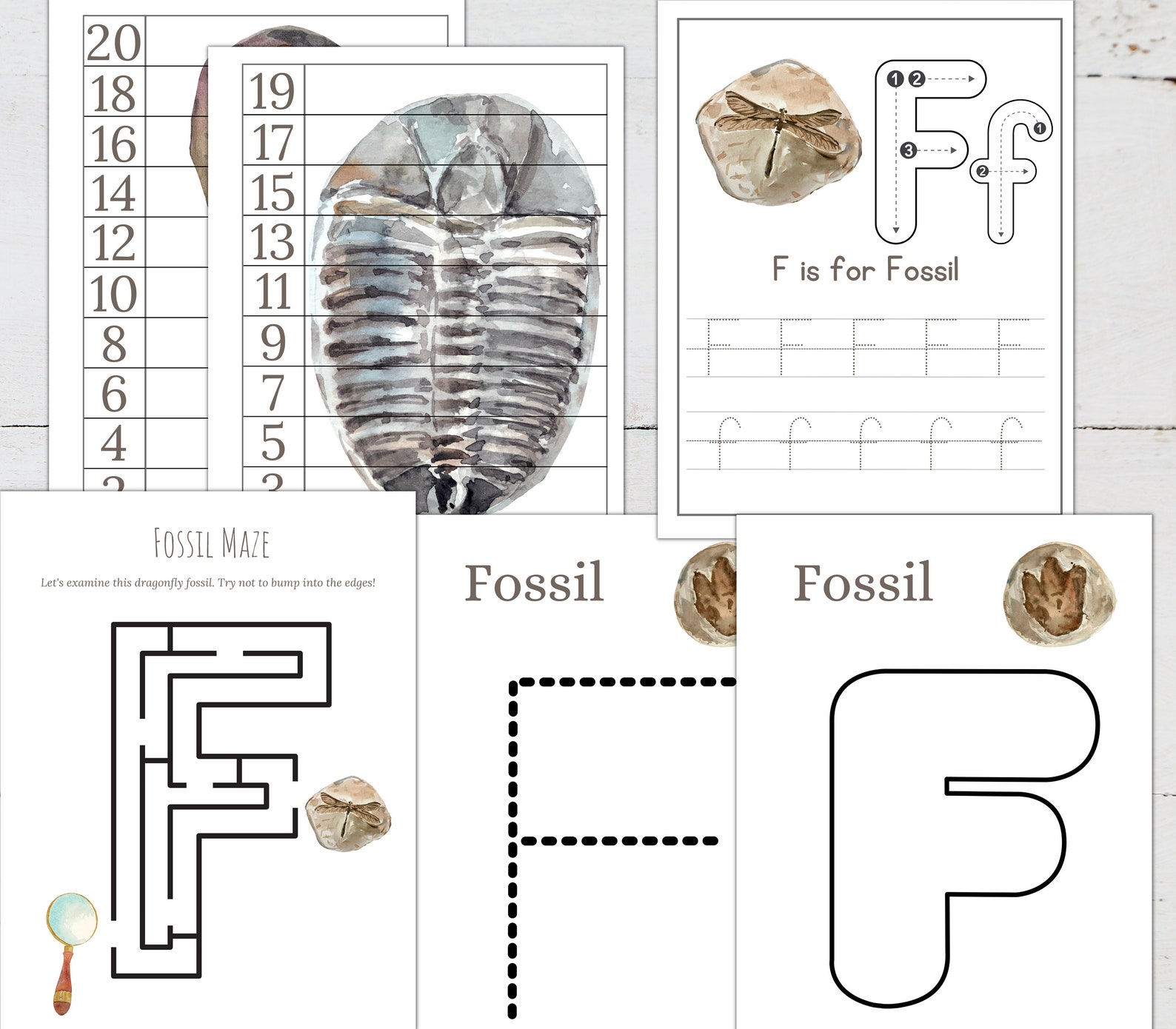 FOSSILS Unit Study, Anatomy, Nature Study, Science, Handwriting ...