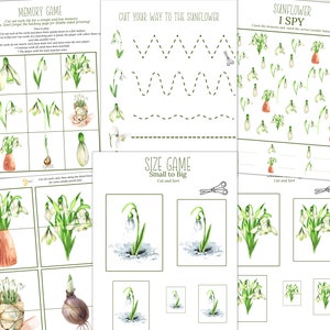 SNOWDROP Unit Study, Life Cycle, Anatomy, Nature Study, Science ...