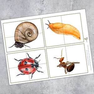 MINIBEASTS Matching Cards, Symmetry Puzzle, Toddler Preschool Activity ...