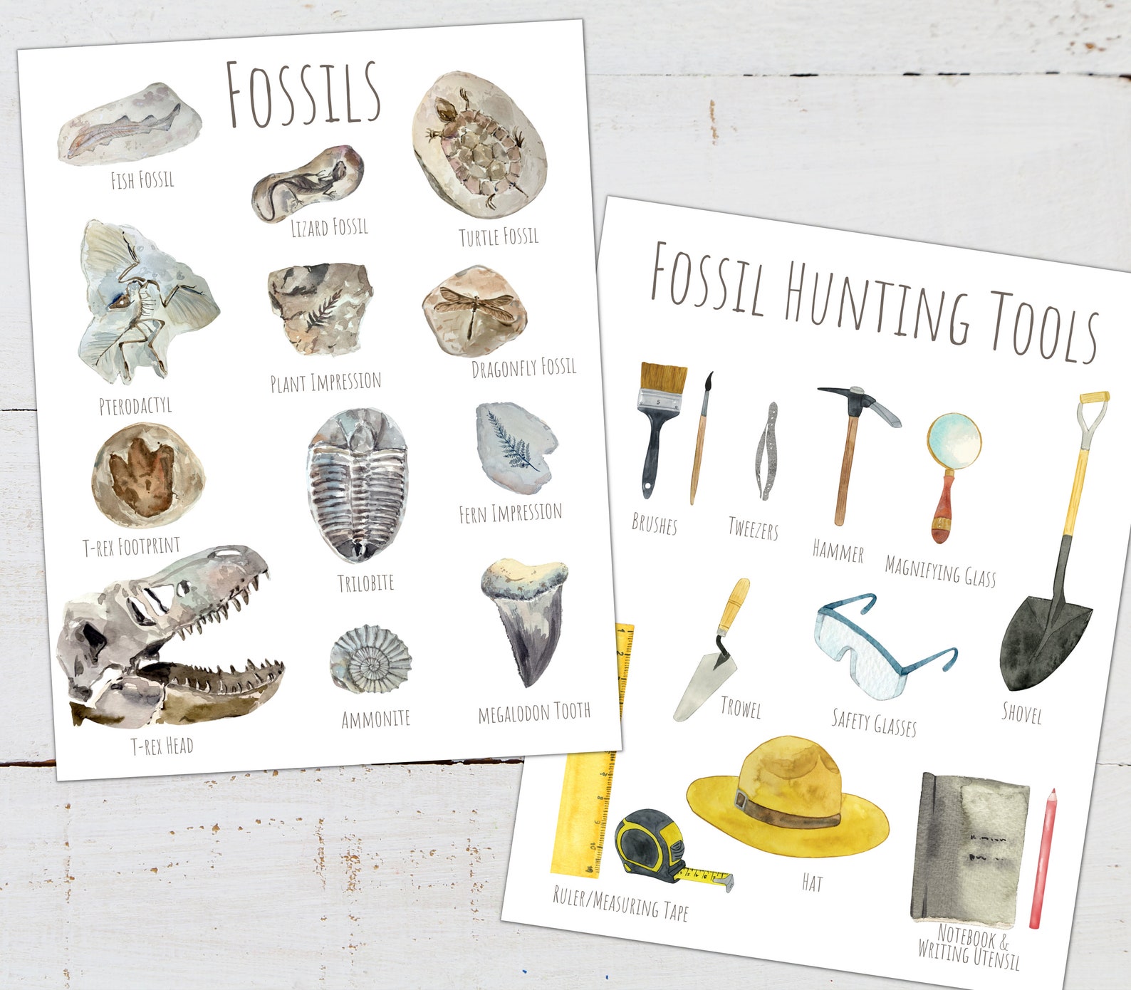 FOSSILS Unit Study, Anatomy, Nature Study, Science, Handwriting ...