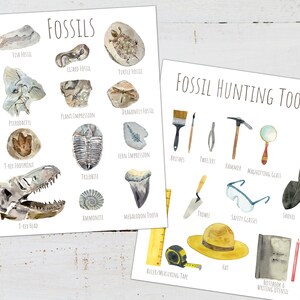 FOSSILS Unit Study, Anatomy, Nature Study, Science, Handwriting ...