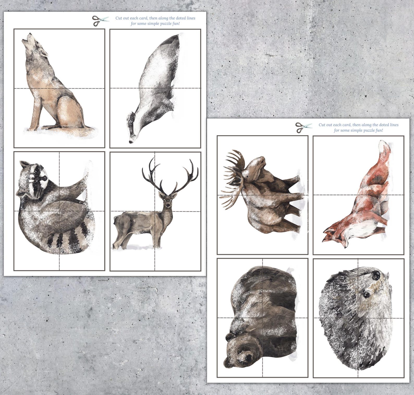 Winter Forest Animals Matching Cards Game, Symmetry Puzzle, Toddler ...