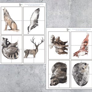 Winter Forest Animals Matching Cards Game, Symmetry Puzzle, Toddler ...