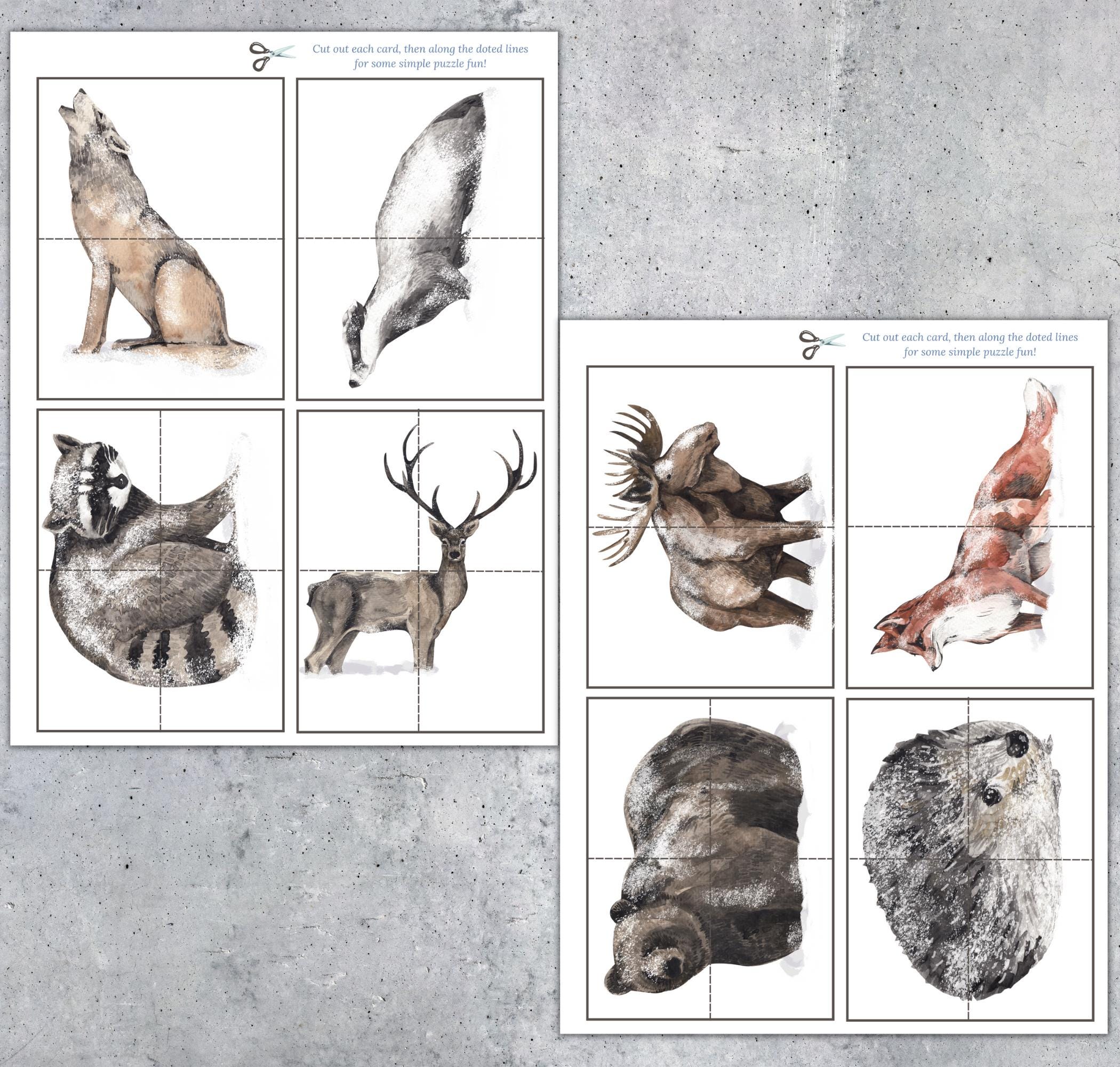 Winter Forest Animals Matching Cards Game, Symmetry Puzzle, Toddler ...