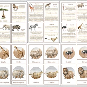 African SAVANNA Unit Study, Life Cycle, Anatomy, Nature Study, Science ...