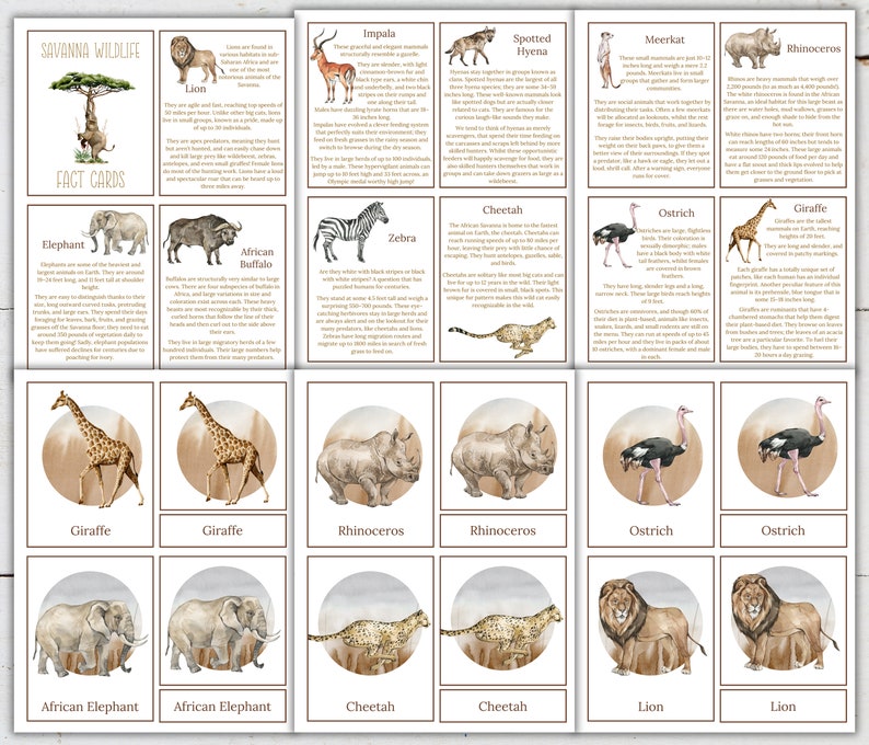 African Savanna Animals Unit Study: Homeschool Printable (instant ...
