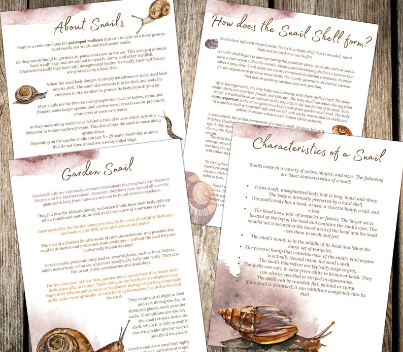 SNAIL Unit Study Life Cycle Anatomy Nature Study Science - Etsy