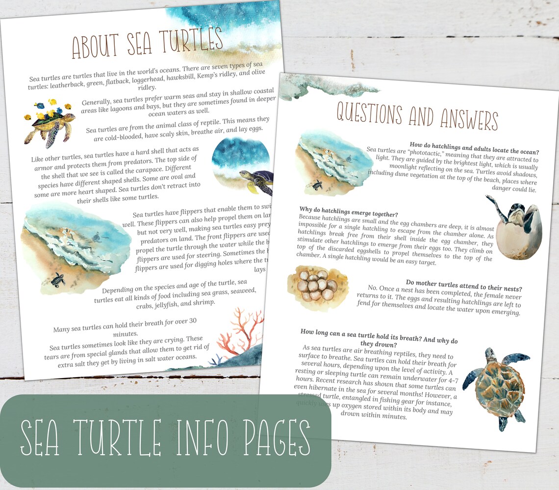Sea Turtle Unit Study: Homeschool Science Printable (instant Download ...