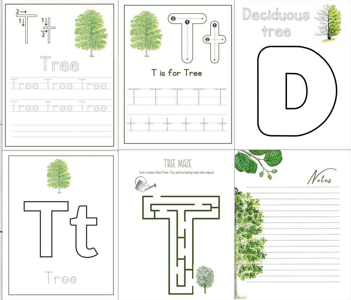 DECIDUOUS TREES Unit Study, Life Cycle, Anatomy, Nature Study, Science ...
