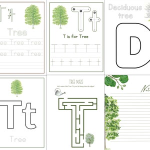DECIDUOUS TREES Unit Study, Life Cycle, Anatomy, Nature Study, Science ...
